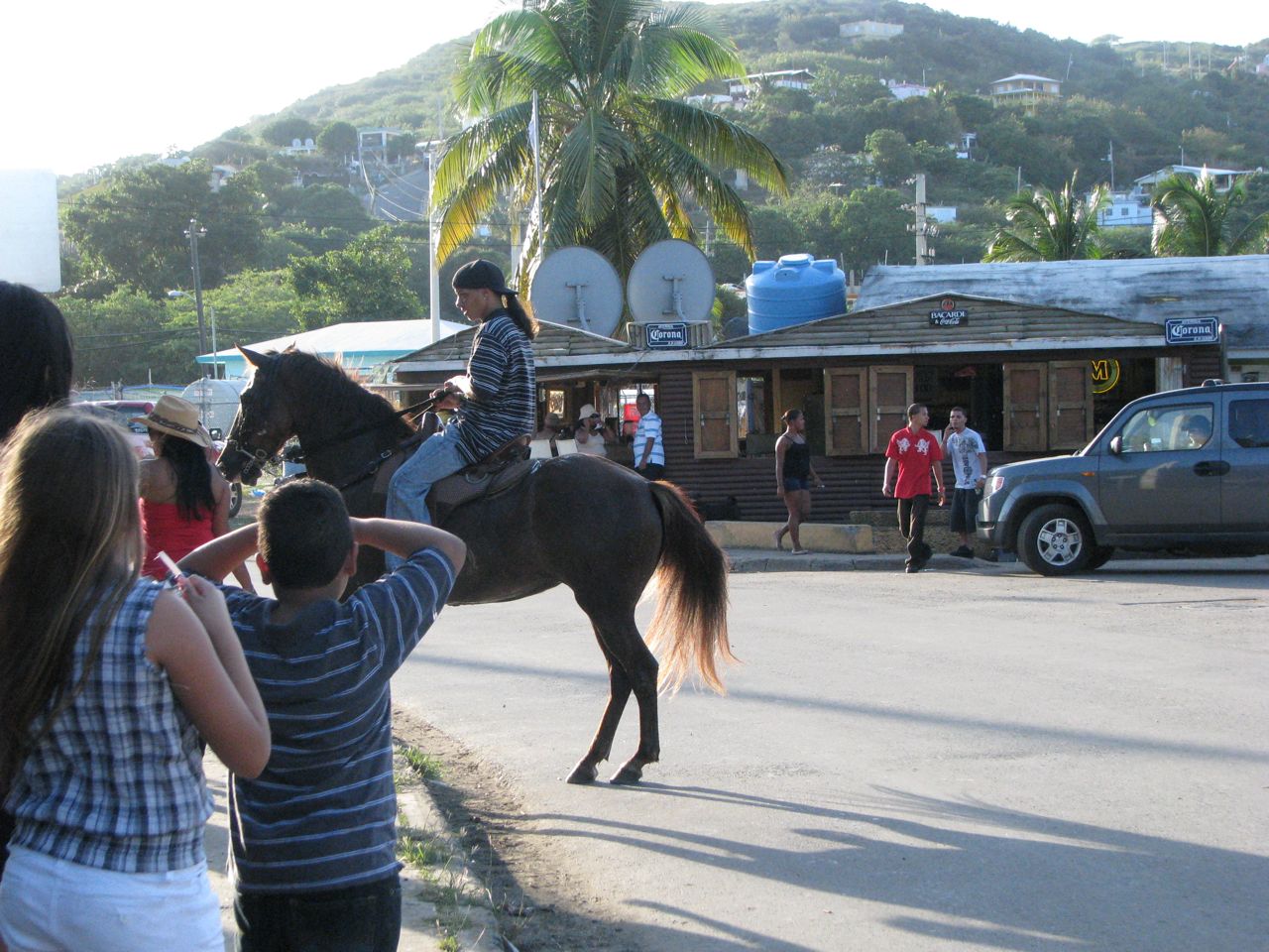 Island Woman's Culebra: Horses, Lechon and um, is that Marshall Islands ...