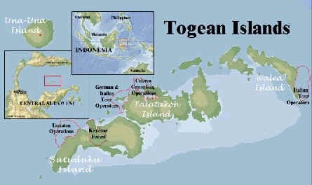 TOGIAN ISLAND DIVING | HOLIC-LIFE