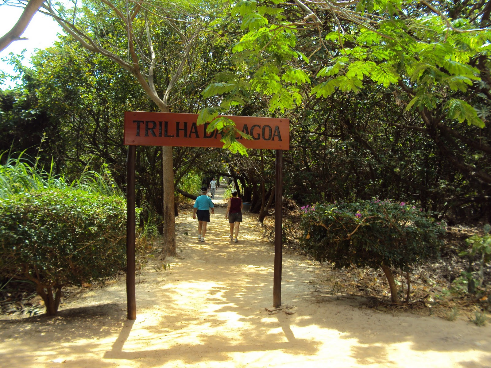 IDEIAS EM DESTAQUE: MELHORES MOMENTOS DA VISITA AO PARQUE DO COCÓ.