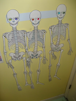 At Home Science: Skeleton model