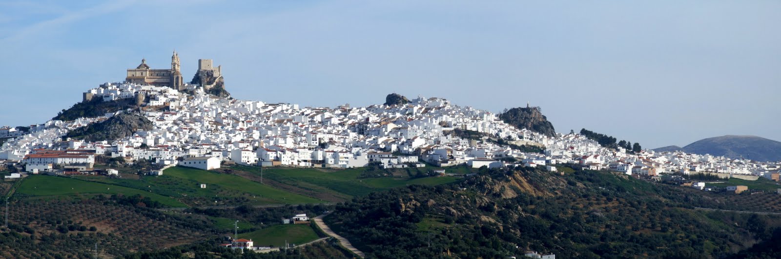 Olvera diary: January 2011
