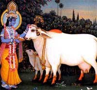 Gopashtami 2024 In Kartik Month – Gopashtami Festival and Go Puja ...