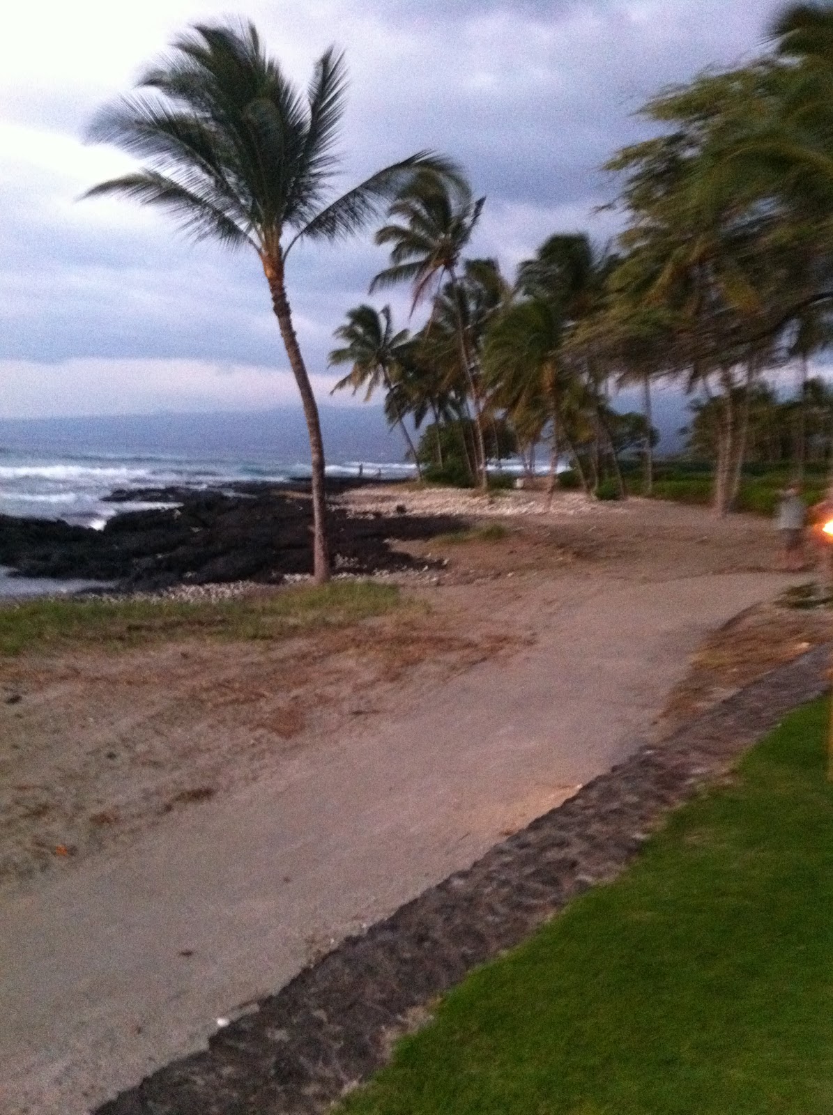 Gruve Mom Times: Hawaii - Day Who Knows? We are in paradise :)