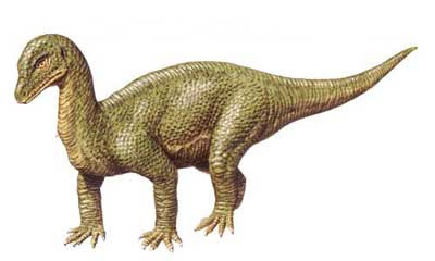 †Dynoz†: Mussaurus