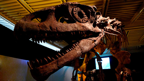 †Dynoz†: Lessemsaurus