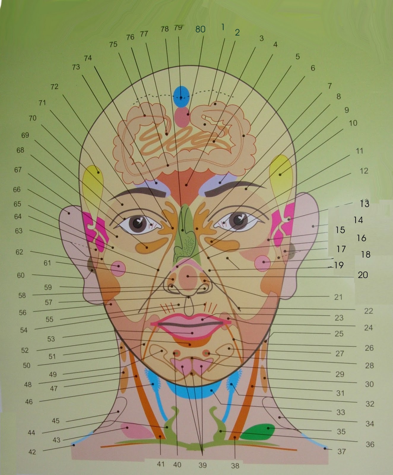 Helping with acne: Face diagnostics