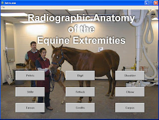Radiographic Anatomy of the Equine Extremities | Veterinary Medicine ...