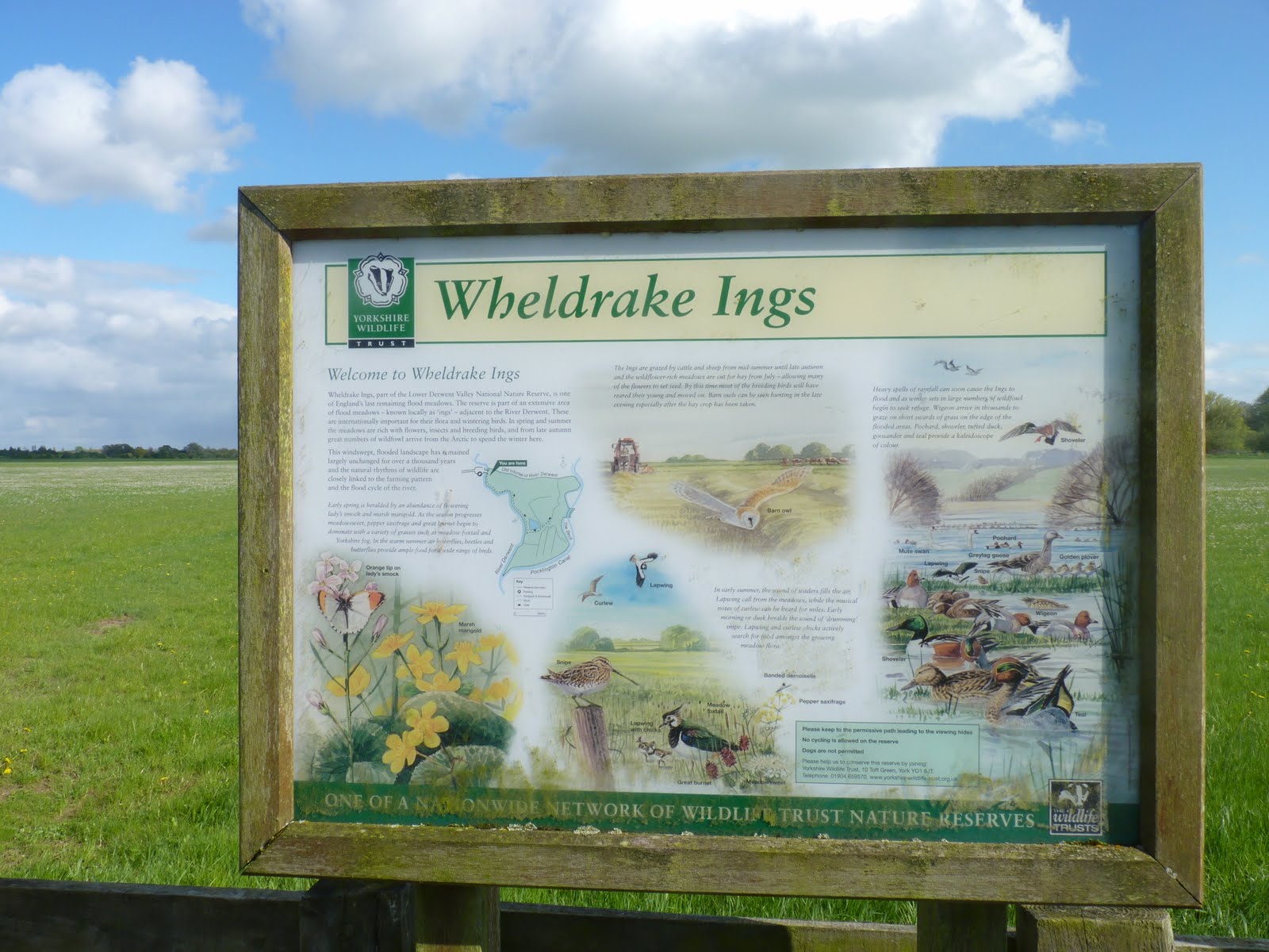 Pam's Place: Wheldrake Ings