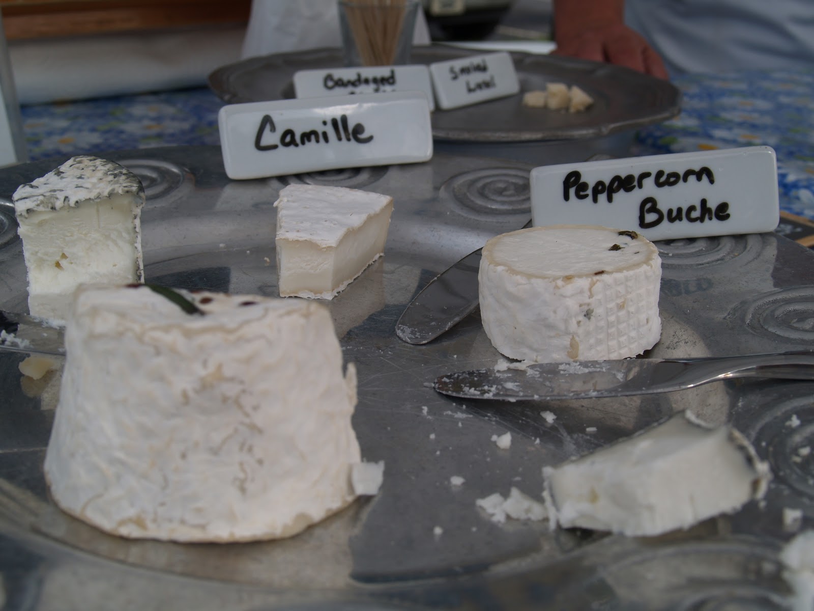 Spinning Spider Creamery: Artisan Cheese
