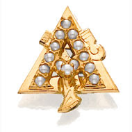 NPC Sorority Badges: 2009 Alpha Gamma Delta