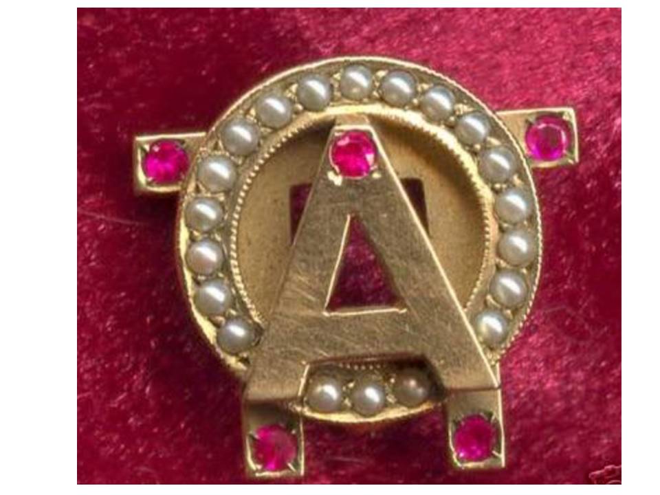 NPC Sorority Badges: Alpha Omicron Pi