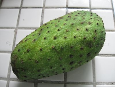 Restaurant Review - Exploring Abuja's Eateries: Soursop : Fruit in Season