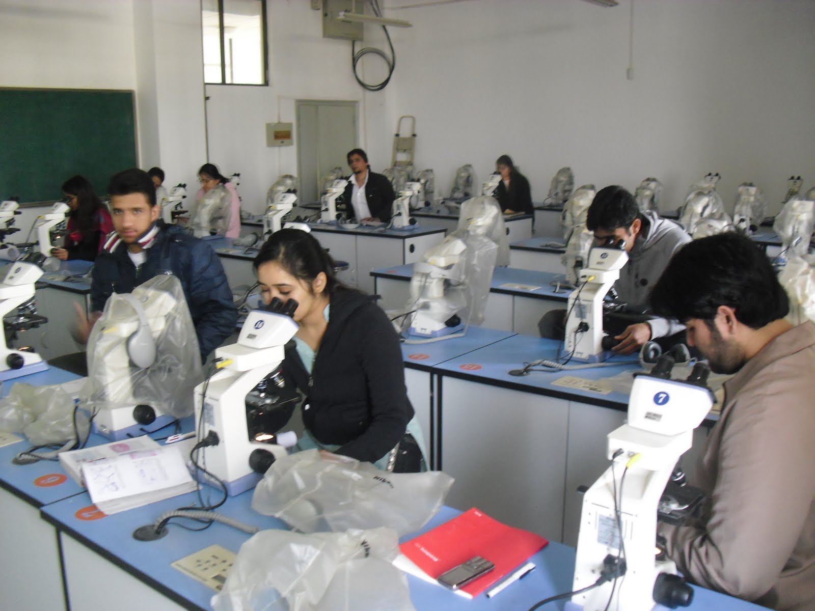 Hubei University of Chinese Medicine: Microbiology Lab.(2008 Batch)