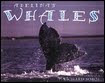 Mrs. Putnam: Adelina's Whales
