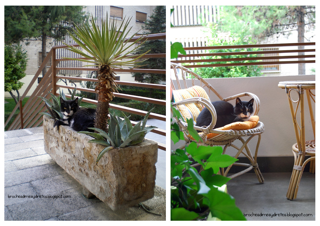 dimesydiretes: octubre 2010