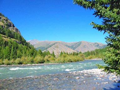 Discover Russia through its endangered animal species: Altai-Sayan eco ...