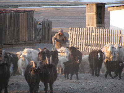 Discover Russia through its endangered animal species: Alpinism in ...