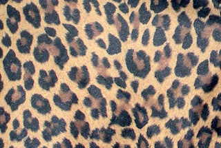 Rustic Butterfly: Leopard Print.