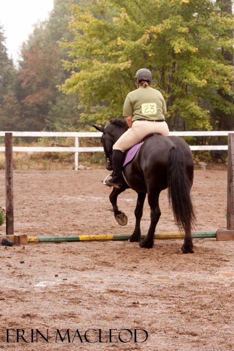 Horse Snob: Overweight riders and horse owners.