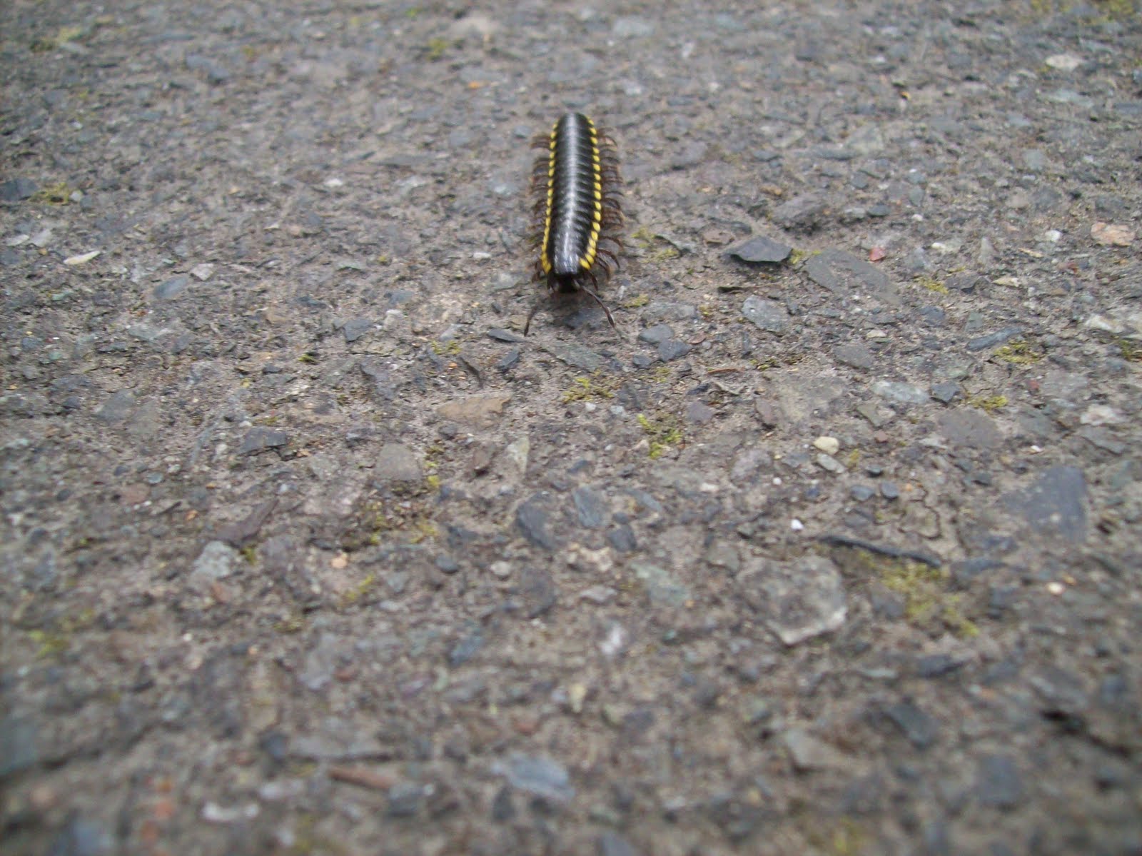 Life: Be In It!: Northwest Trek July 2010