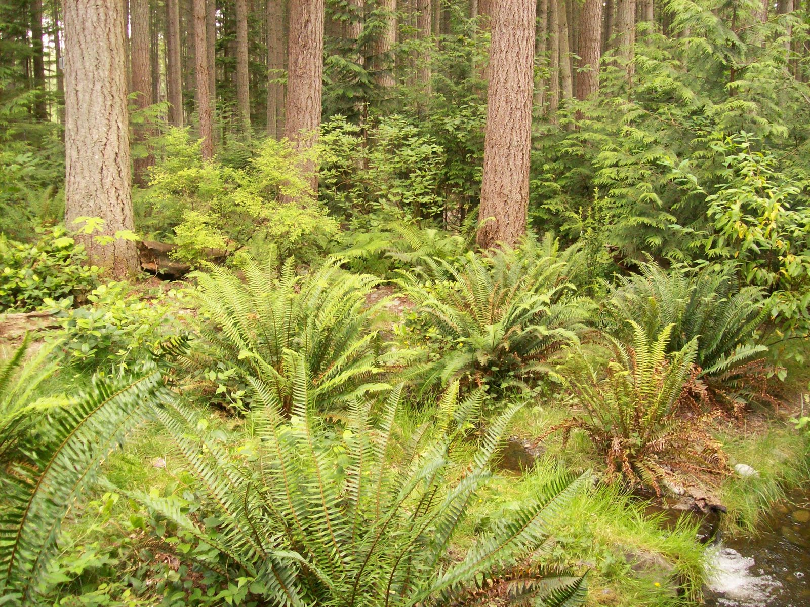 Life: Be In It!: Northwest Trek July 2010