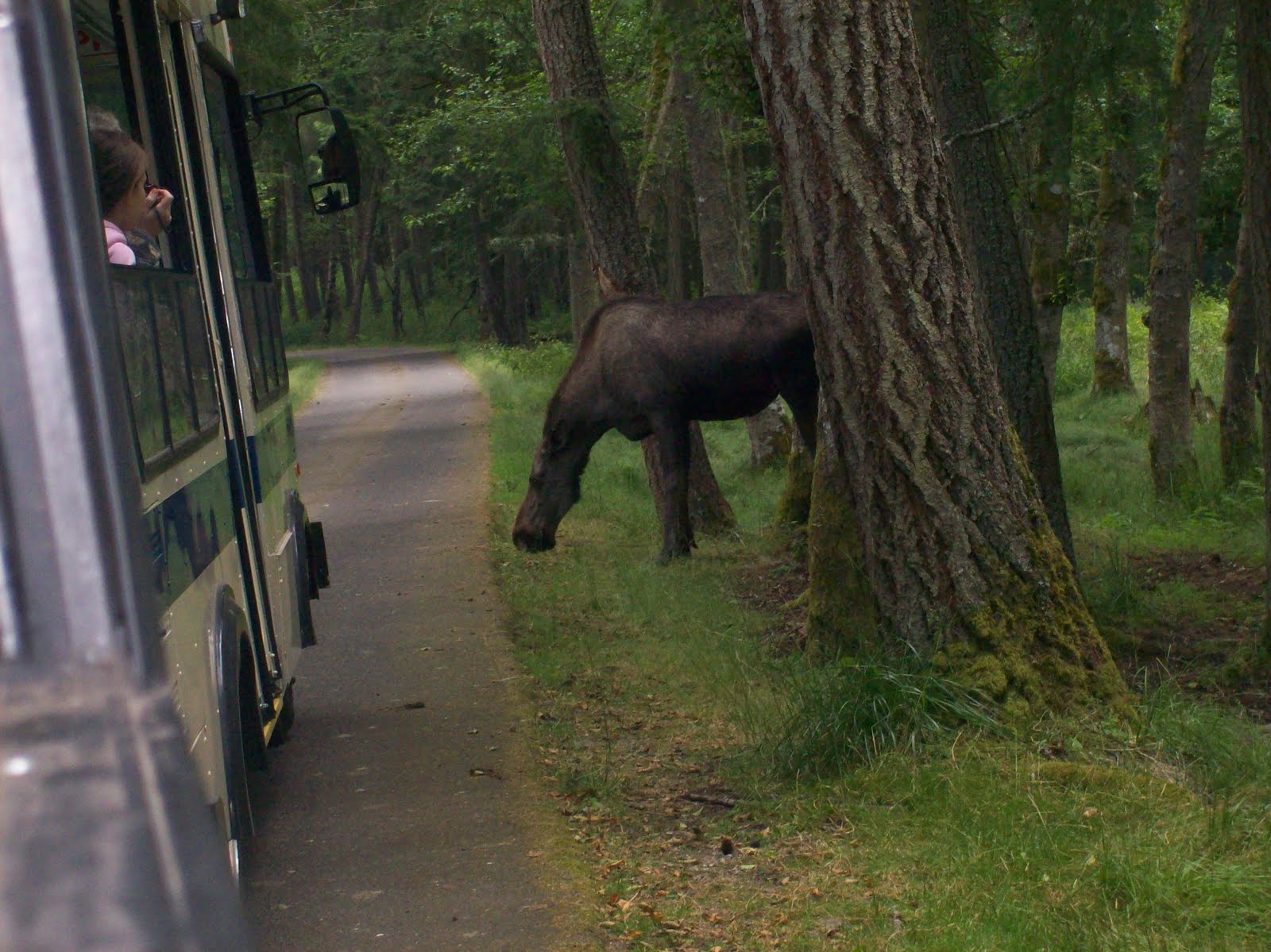 Life: Be In It!: Northwest Trek July 2010