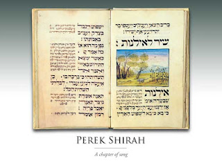 The Wandering Hebrew: A lesson on Perek Shira