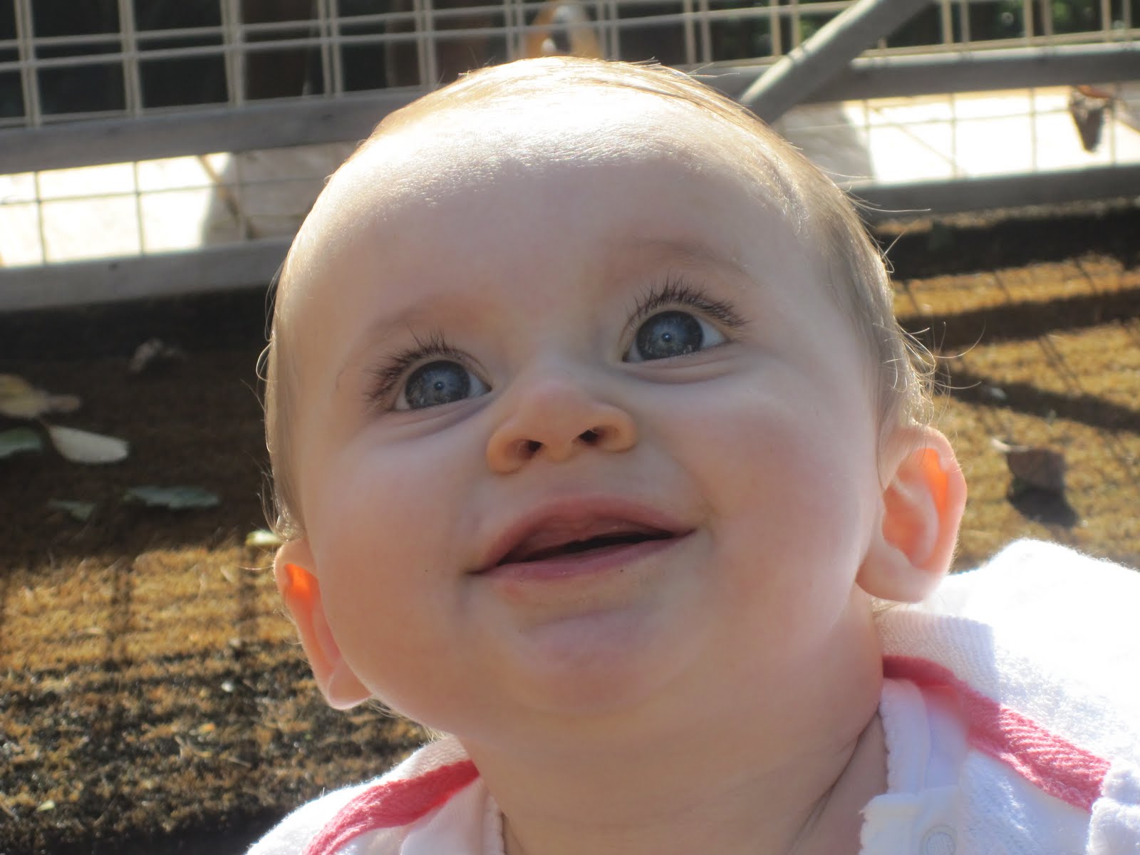 the-young-family-madeline-9-mo-old