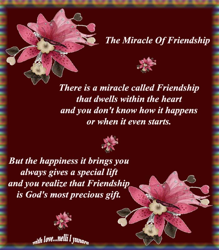 The True Feeling: The Miracle of Friendship