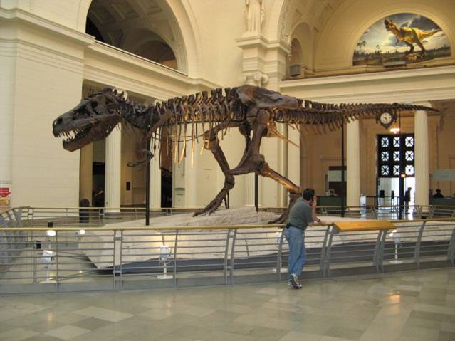 GregLSBlog: Chicago Dinosaurs: Field Museum of Natural History