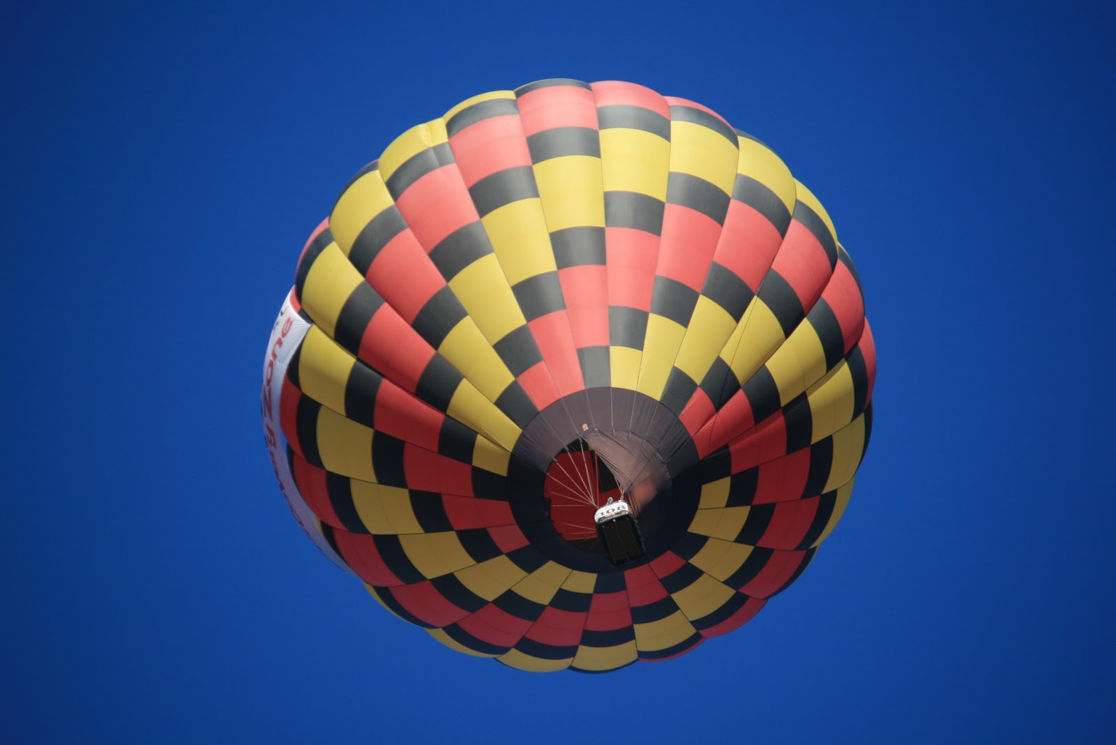 The Onion Cart Travels: Balloon Fiesta