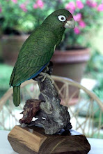 Trinos de Aves en Vuelo: Conmemoracion del Natalicio de Elpidio Collazo ...