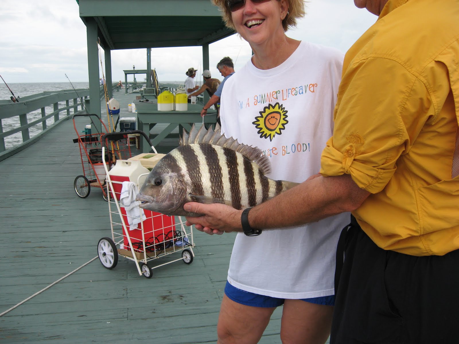 Saltwater Fishing Tips for the South: Sheepshead: Notorious convicts
