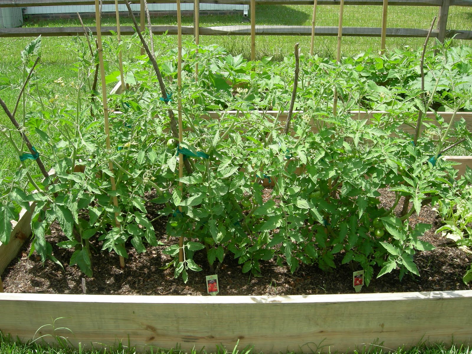 Loving and Serving: End of May Garden Update