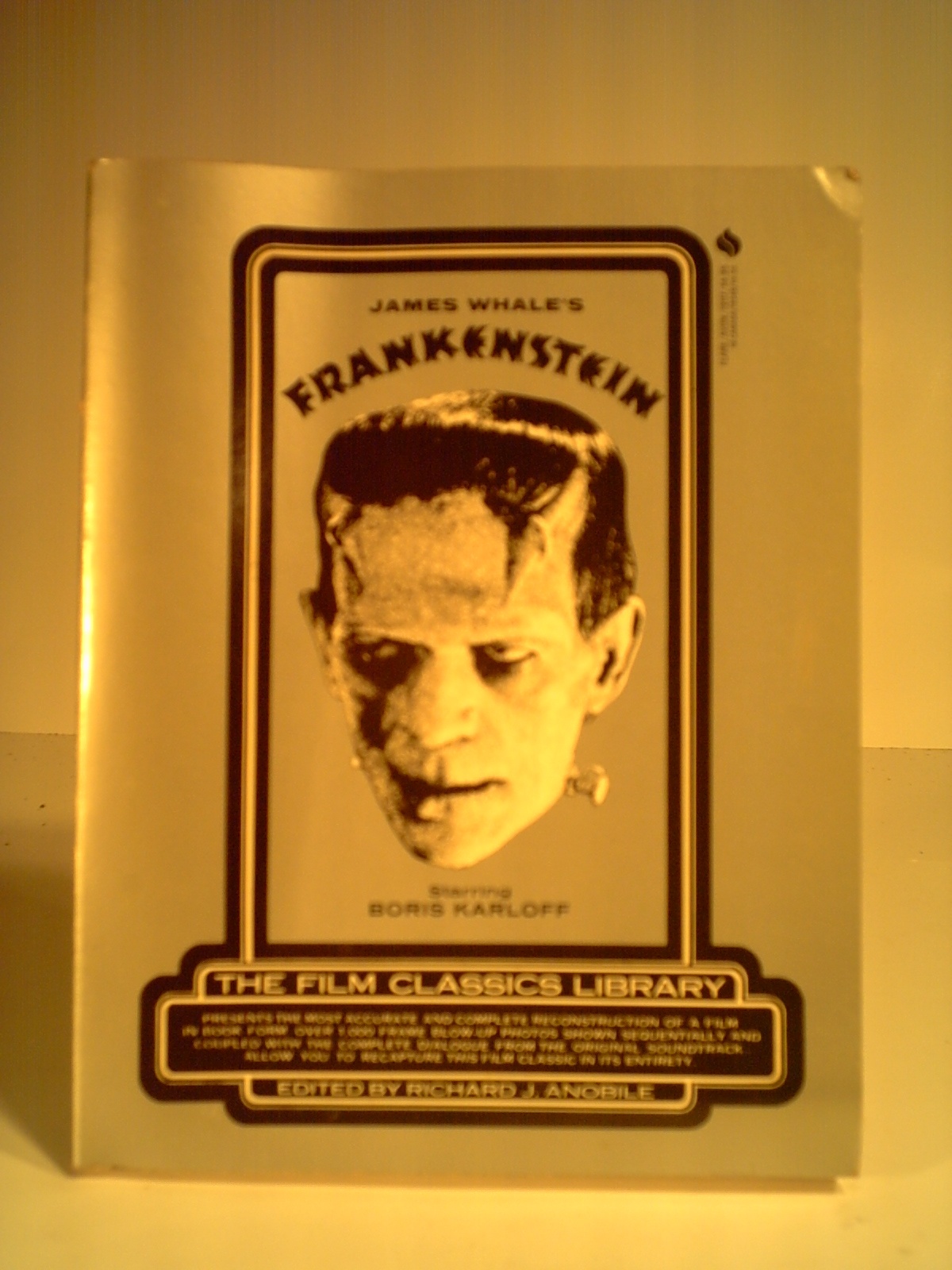 CLASSIC HORROR & MONSTER MOVIE COLLECTIBLES: #13 BOOK "FRANKENSTEIN ...