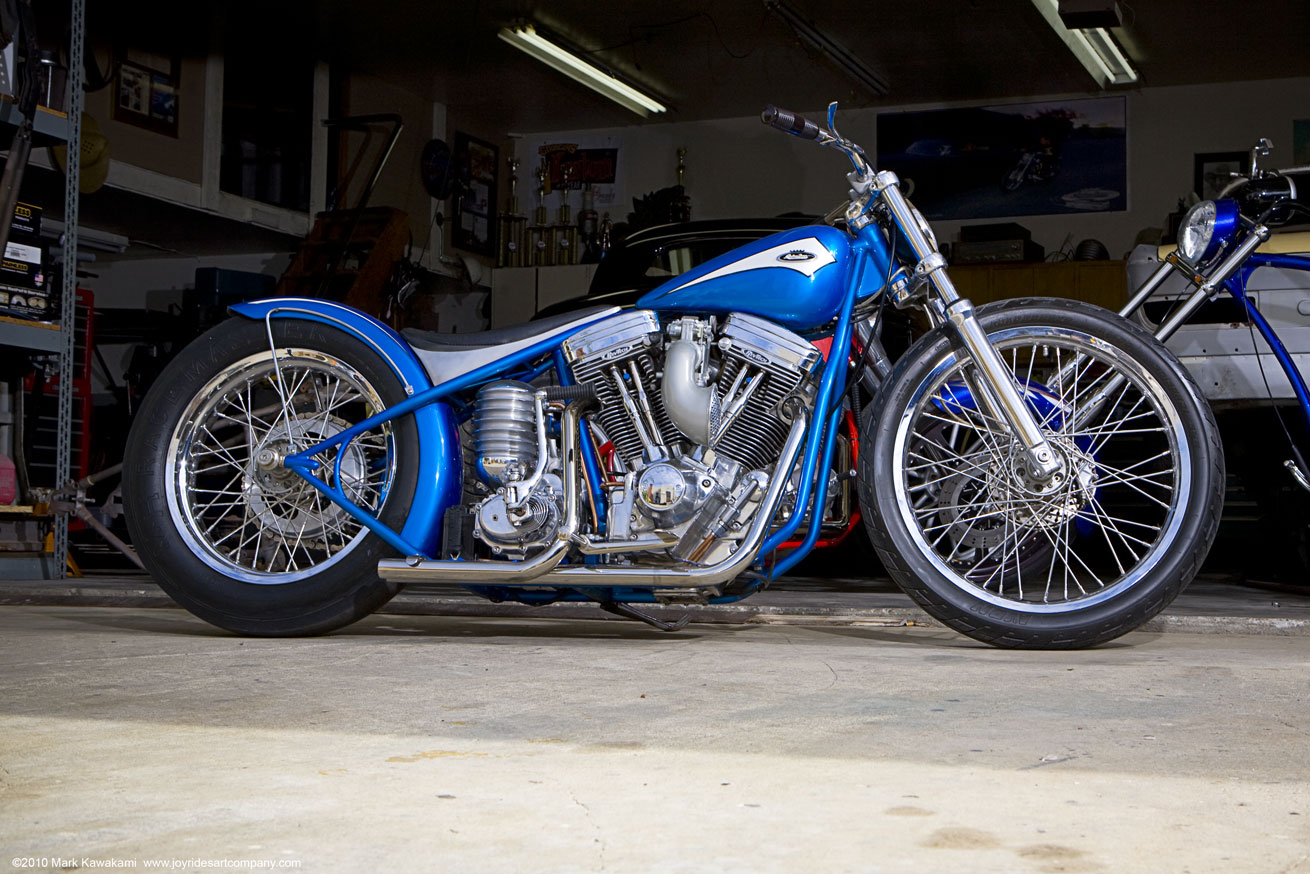 JOYRIDES ART CO: The Blue Bike-Cole Foster-Salinas