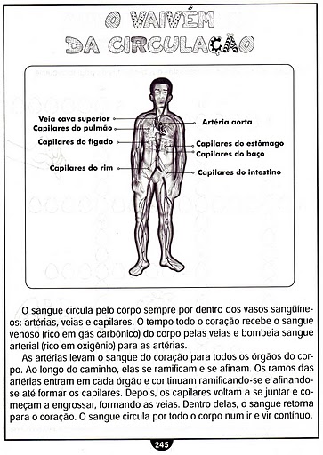 Professora Marlene Silva: ATIVIDADES DE CiÊNCIAS 7...SISTEMA ... Professora Marlene Silva: ATIVIDADES DE CiÊNCIAS 7...SISTEMA ...
