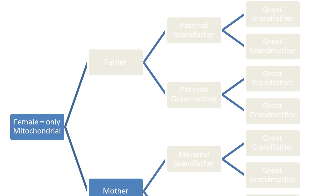 Dr D Digs Up Ancestors: Mitochondrial DNA Testing for Genealogy: DNA Part 2