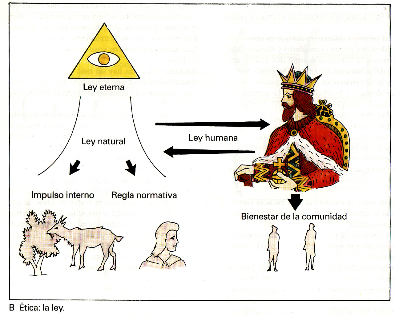 El Profe de Filosofía: 2010