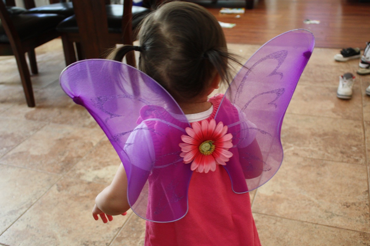 JaeBellz: DIY: Fairy Wings...Refashion!!!