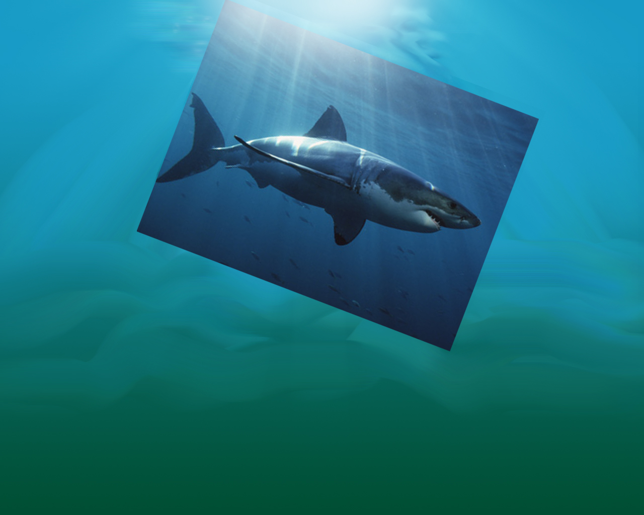 Photoshop Tutorials: How to create underwater scene using Photoshop