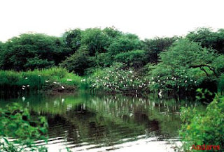 .: OLMOS - LAMBAYEQUE , PERÚ