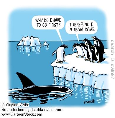 Today in my world....: Teamwork