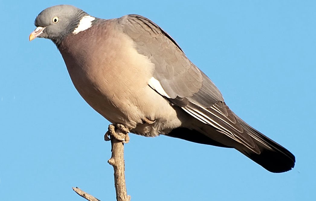 VIVE LA NATURALEZA: 06/09/10