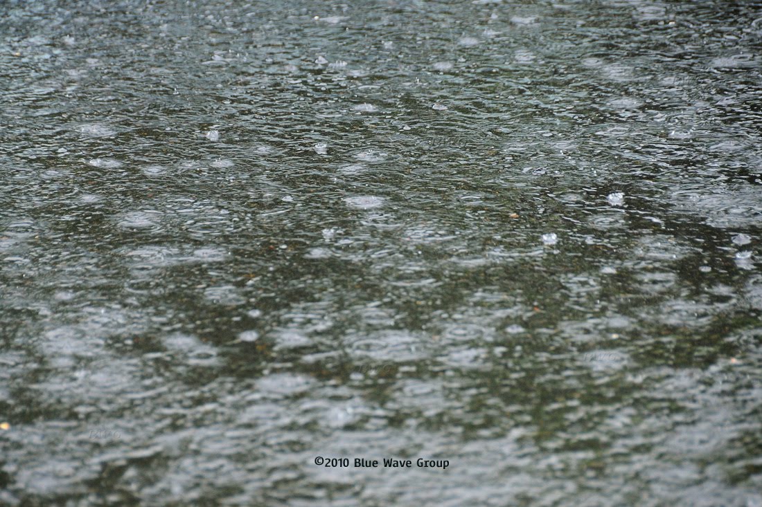 Blue Wave Pix: Rain On Pavement
