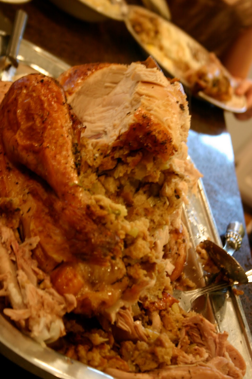 so sue me.: Stuffed like a Turkey