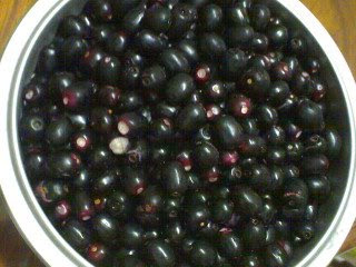 My Food! Food! Food!: Fruit of the day: "Duhat"