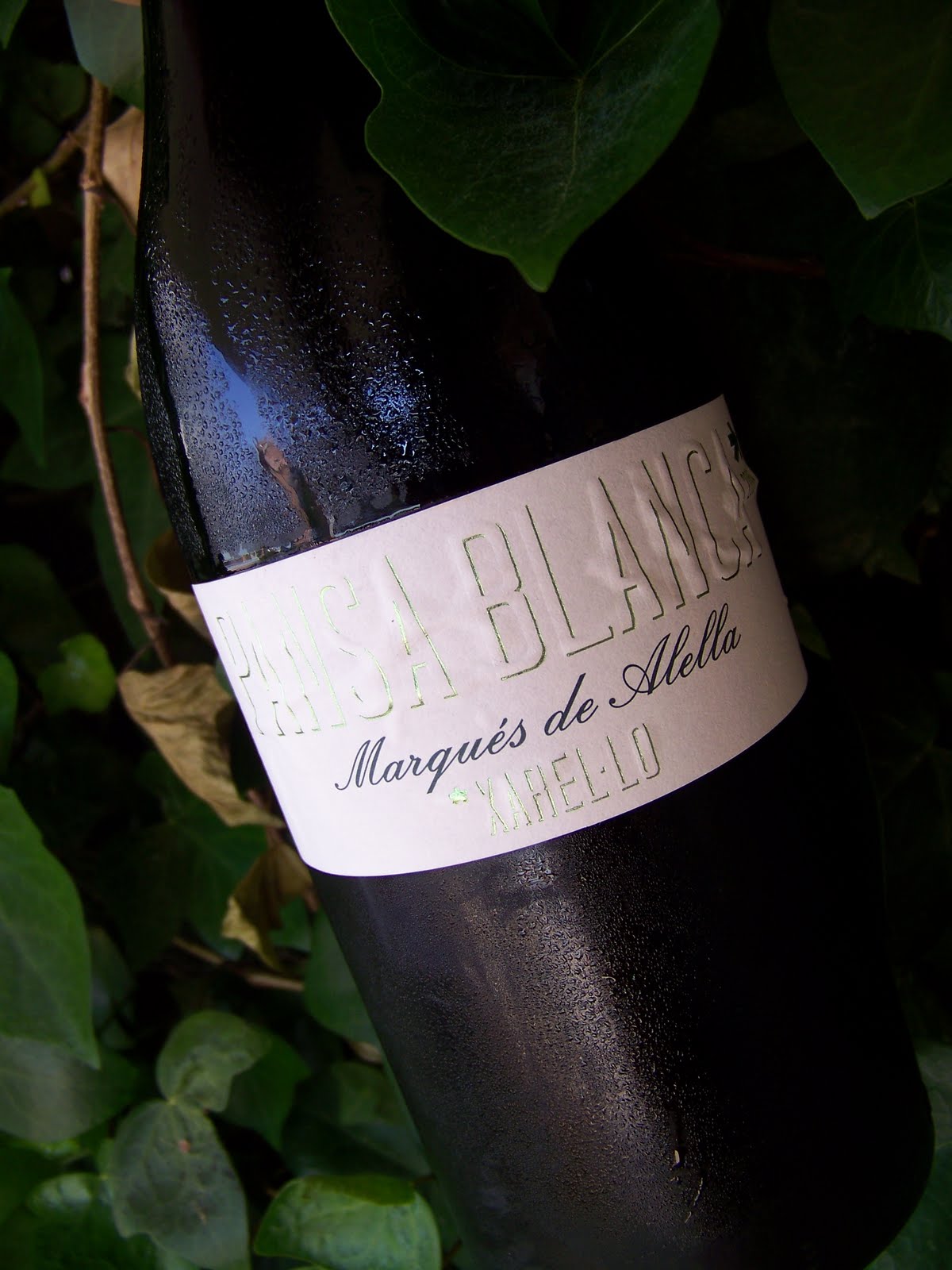 ADICTOS A LA LUJURIA: PANSA BLANCA 2009 ( Marqués de Alella - DO. Alella)