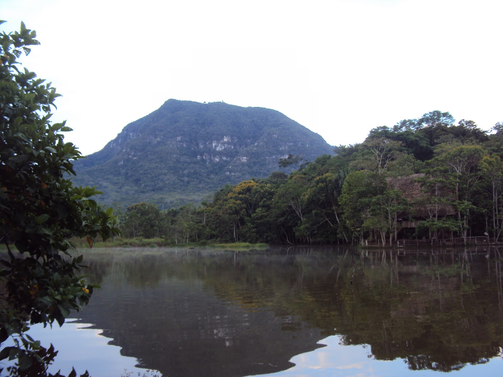 ¡Tu mejor opción!: ASEANOR "ALTO MAYO" es ¡GENERACIÓN ESPERANZA!