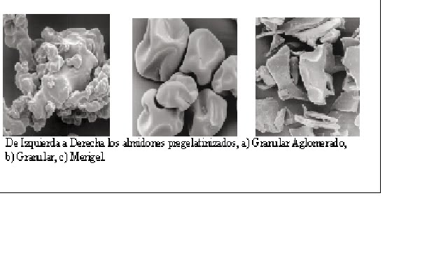 SUHUMA: Almidón modificado